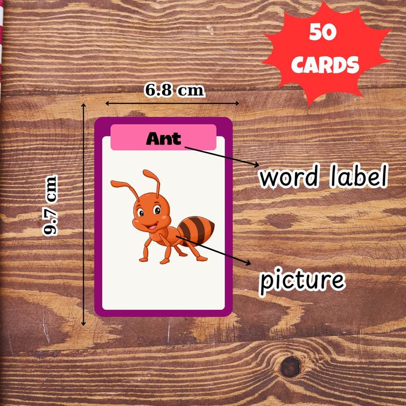 Animal Flashcards: English Vocabulary Learning for Kids (printable PDF ...