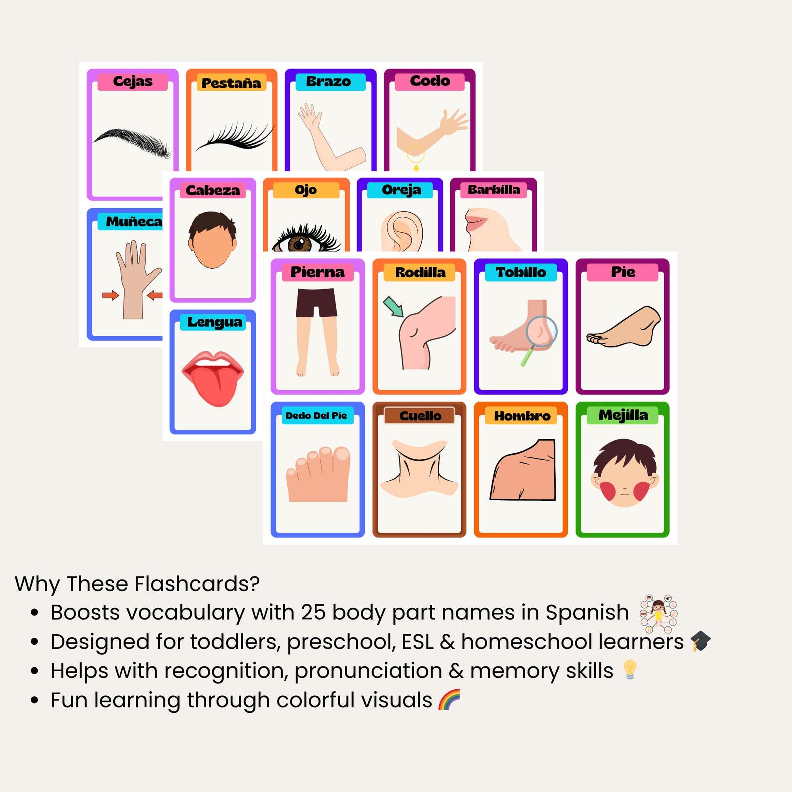 Spanish Body Parts Flashcards – 25 Printable Cards for Kids – Learn ...