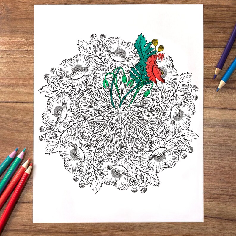 Poppy Coloring Pages, Set of 3, Poppies, Hand Drawn Flowers,floral ...