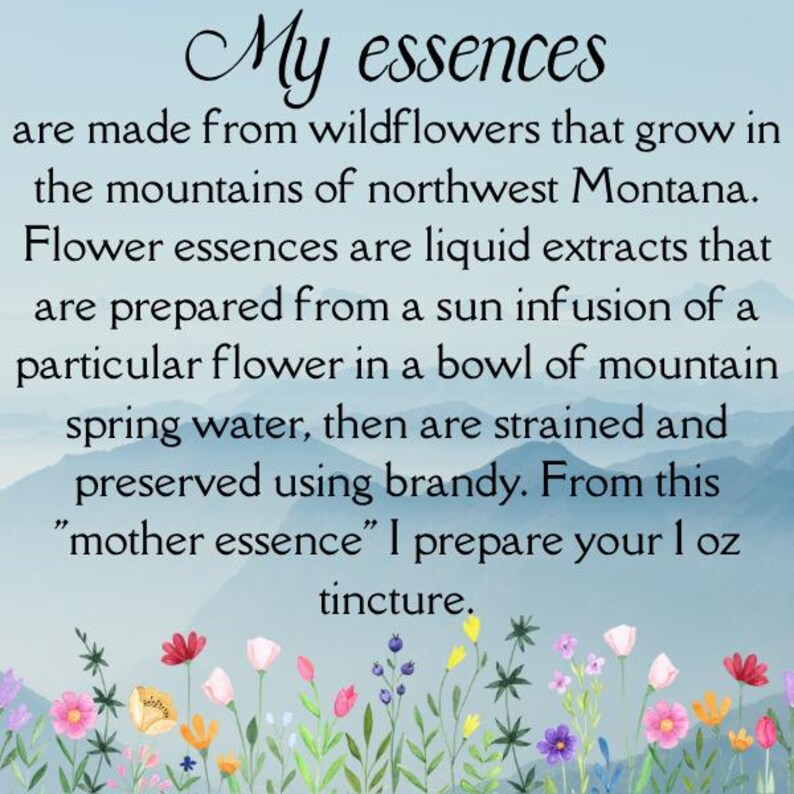 Wild Rose Flower Essence, 1oz Dropper Bottle, Flower Essence, Flower ...