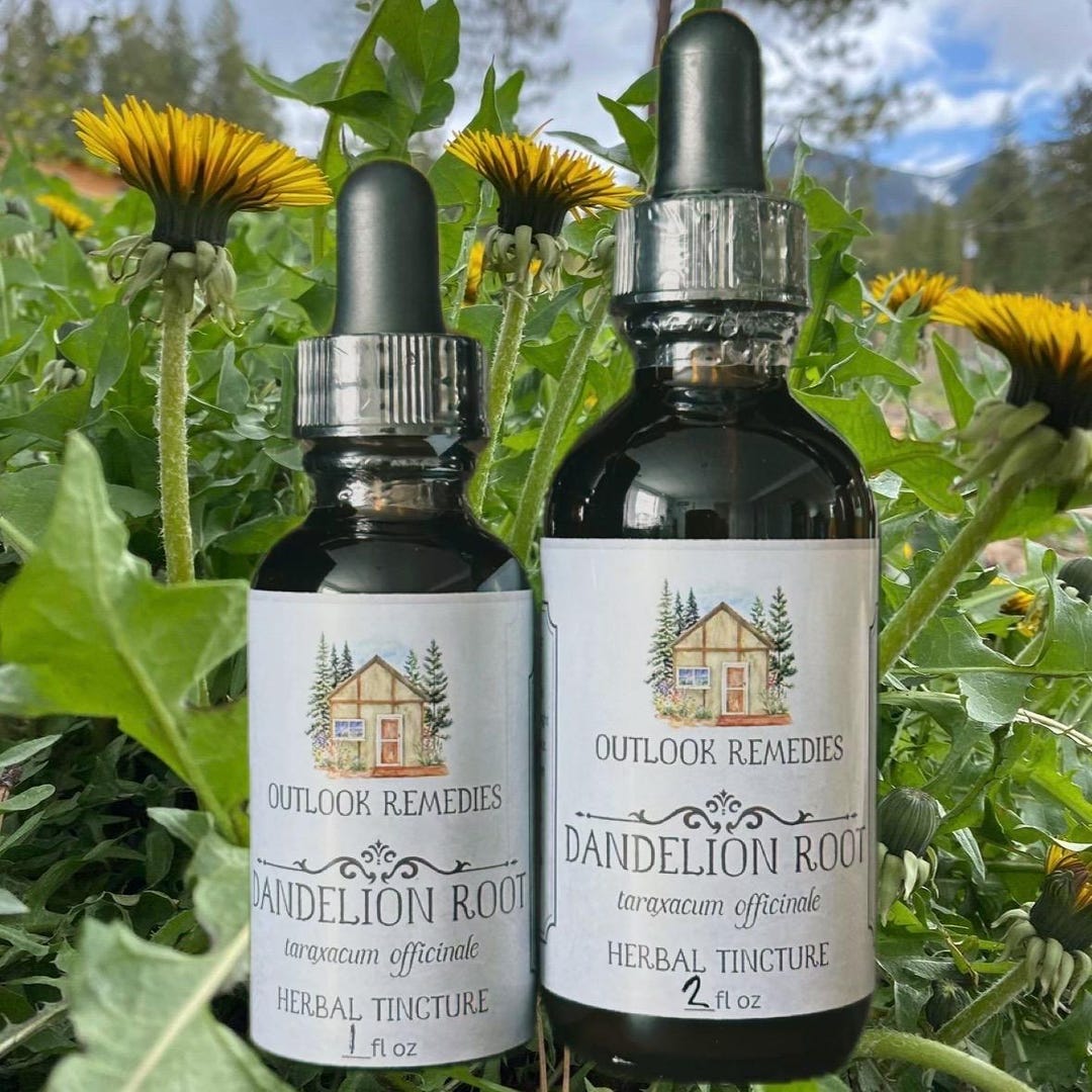 Dandelion Root Herbal Tincture | Wildcrafted - Etsy