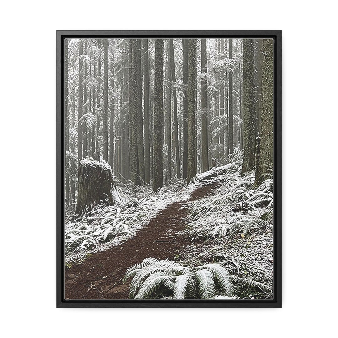 Gallery Canvas Wraps, Vertical Frame - Nature Photography - Snow ...