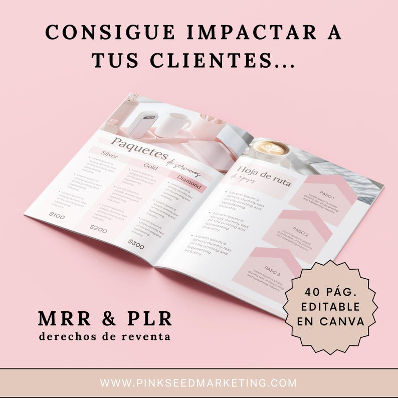 Plantilla De Propuesta De Servicios Para Emprendedoras; En Español ...