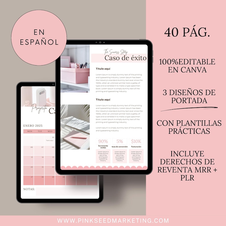 Plantilla De Propuesta De Servicios Para Emprendedoras; En Español ...