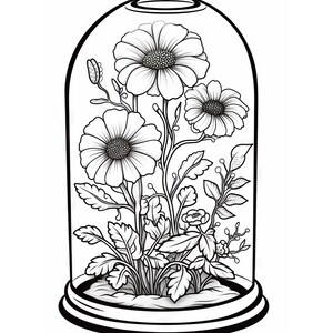 Terrarium Coloring Pages Botanical Illustrations, Succulent Designs ...
