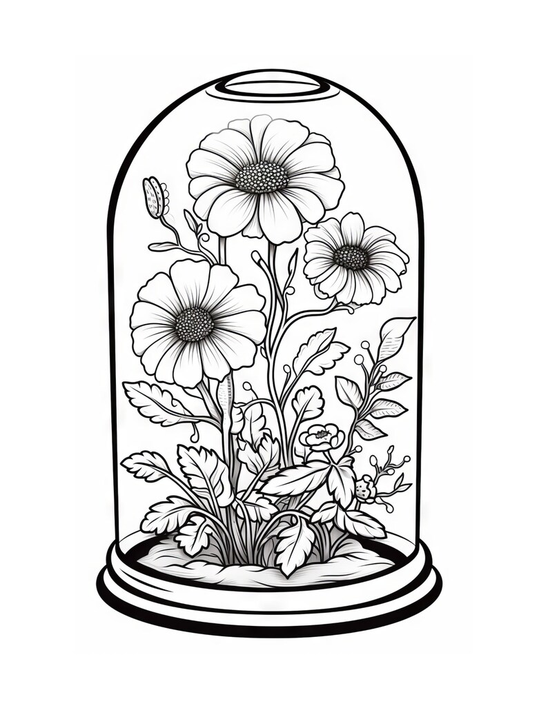 Terrarium Coloring Pages Botanical Illustrations, Succulent Designs ...