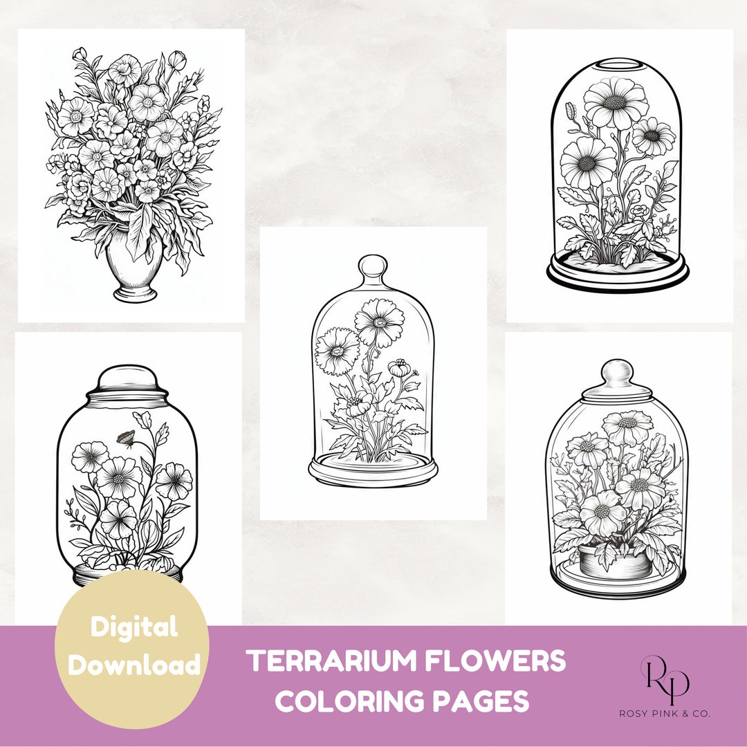 Terrarium Coloring Pages Botanical Illustrations, Succulent Designs ...