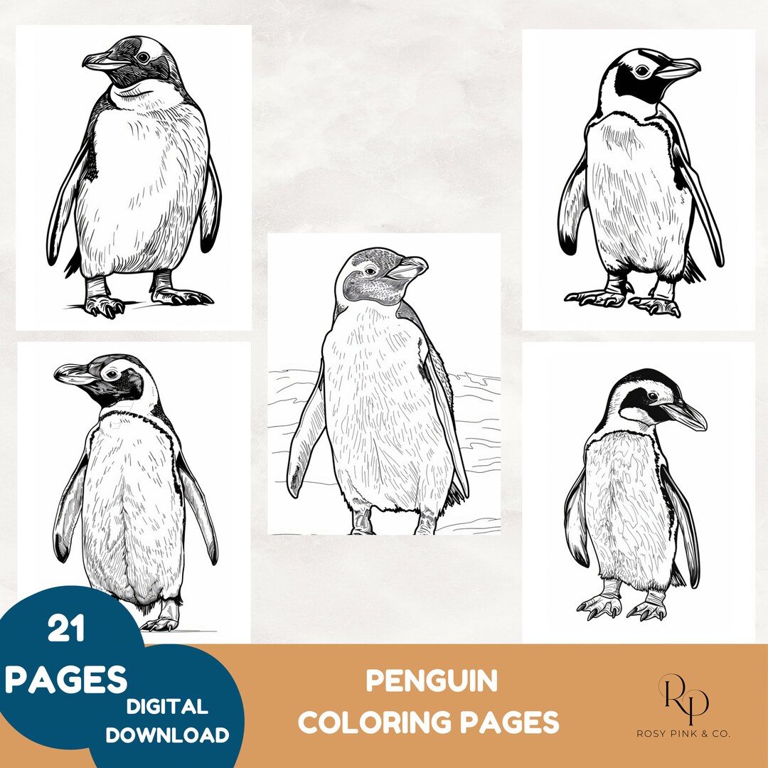 Printable Adorable Penguin Coloring Pages: Instant Digital Download ...