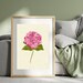 Hydrangea Watercolor Poster Wildflower Summer Wall Art Perfect ...
