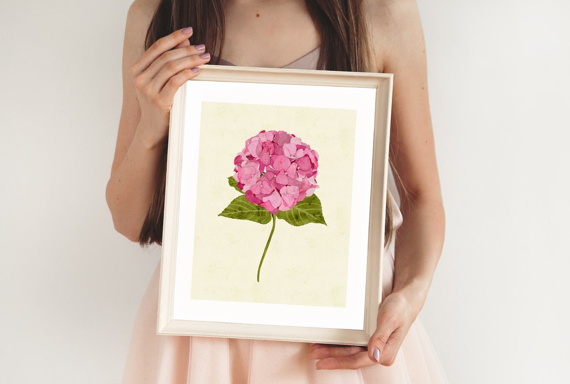 Hydrangea Watercolor Poster Wildflower Summer Wall Art Perfect ...
