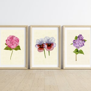 Pansies Summer Flower Poster, Watercolor Flower Botanical Poster ...