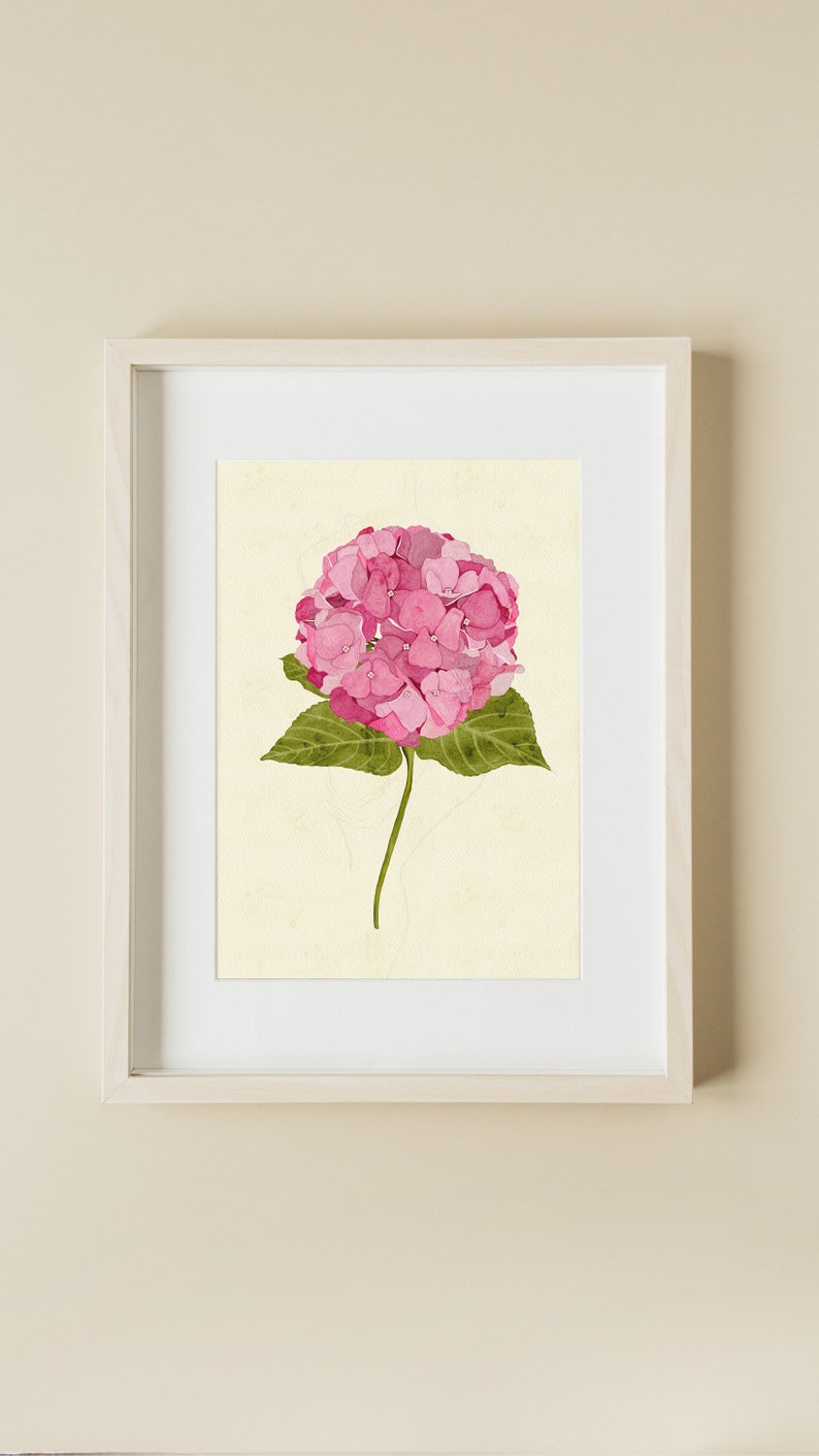 Hydrangea Watercolor Poster Wildflower Summer Wall Art Perfect ...