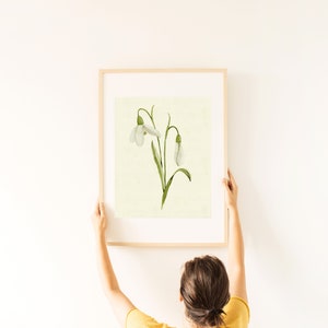 Snowdrop Watercolor Poster | Wildflower Spring Wall Art | Perfect ...