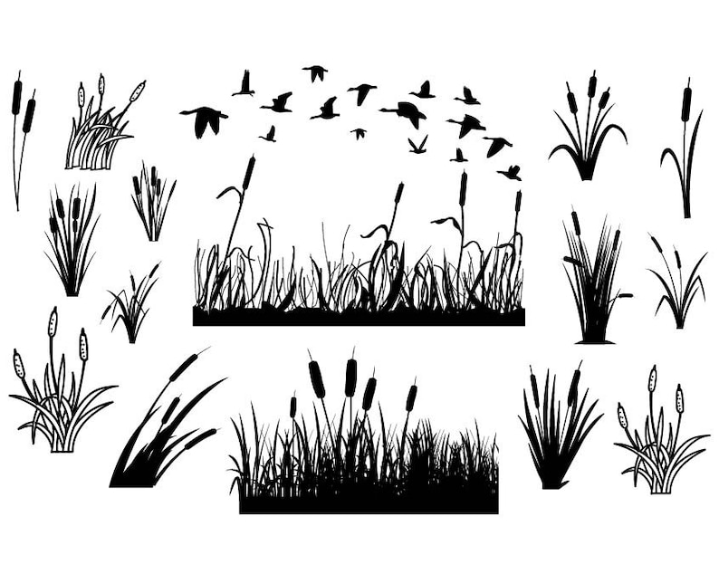 Cattail Svg Bundle, Cattail Svg, Cattail Flower Svg, Bulrush Plant Svg ...