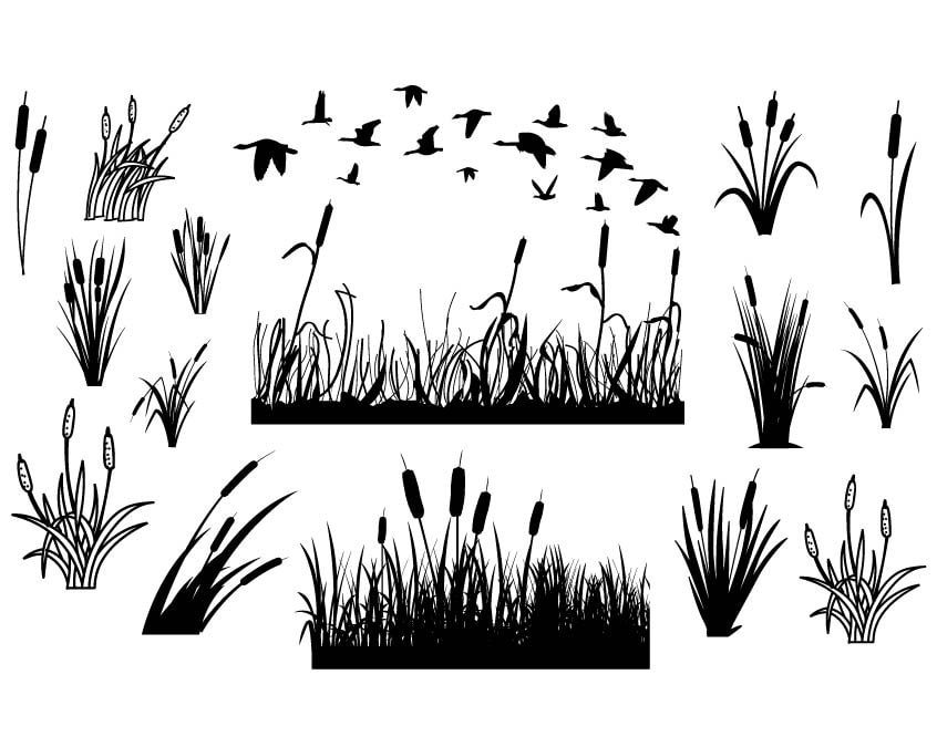 Cattail Svg Bundle, Cattail Svg, Cattail Flower Svg, Bulrush Plant Svg ...