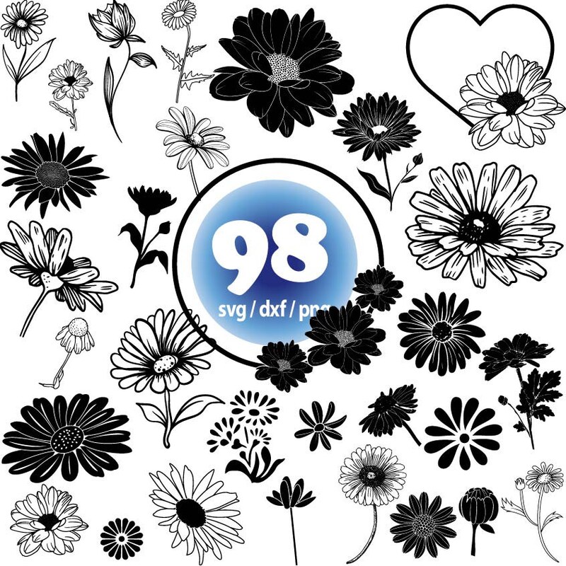Daisy Flower Svg - Etsy