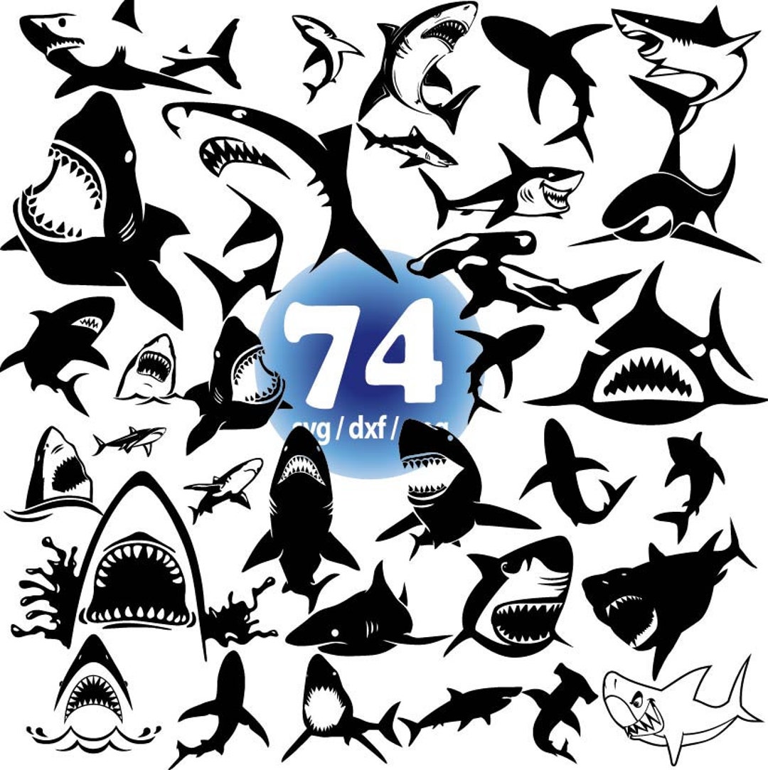 Shark Svg Bundle, Shark in the Ocean Svg, Shark Svg, Shark Silhouette ...