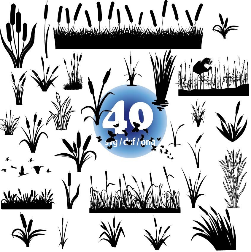 Cattail Svg Bundle, Cattail Svg, Cattail Flower Svg, Bulrush Plant Svg ...