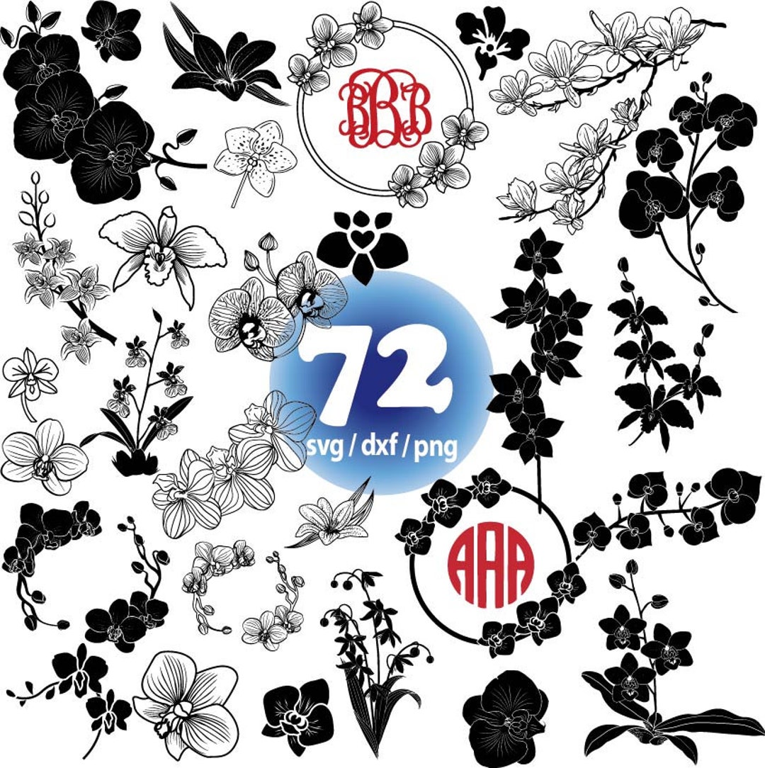 Orchids Svg Bundle, Orchid Svg, Orchid Bouquet Svg, Wedding Flowers Svg ...