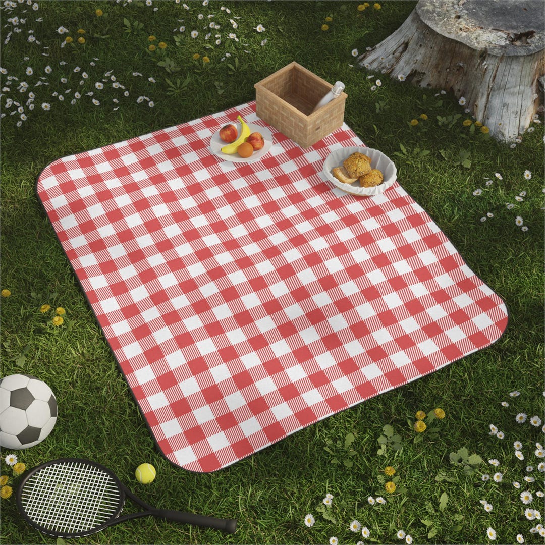 Red Gingham Picnic Blanket Vintage Picnic Blanket Outdoor Blanket 61x51 ...