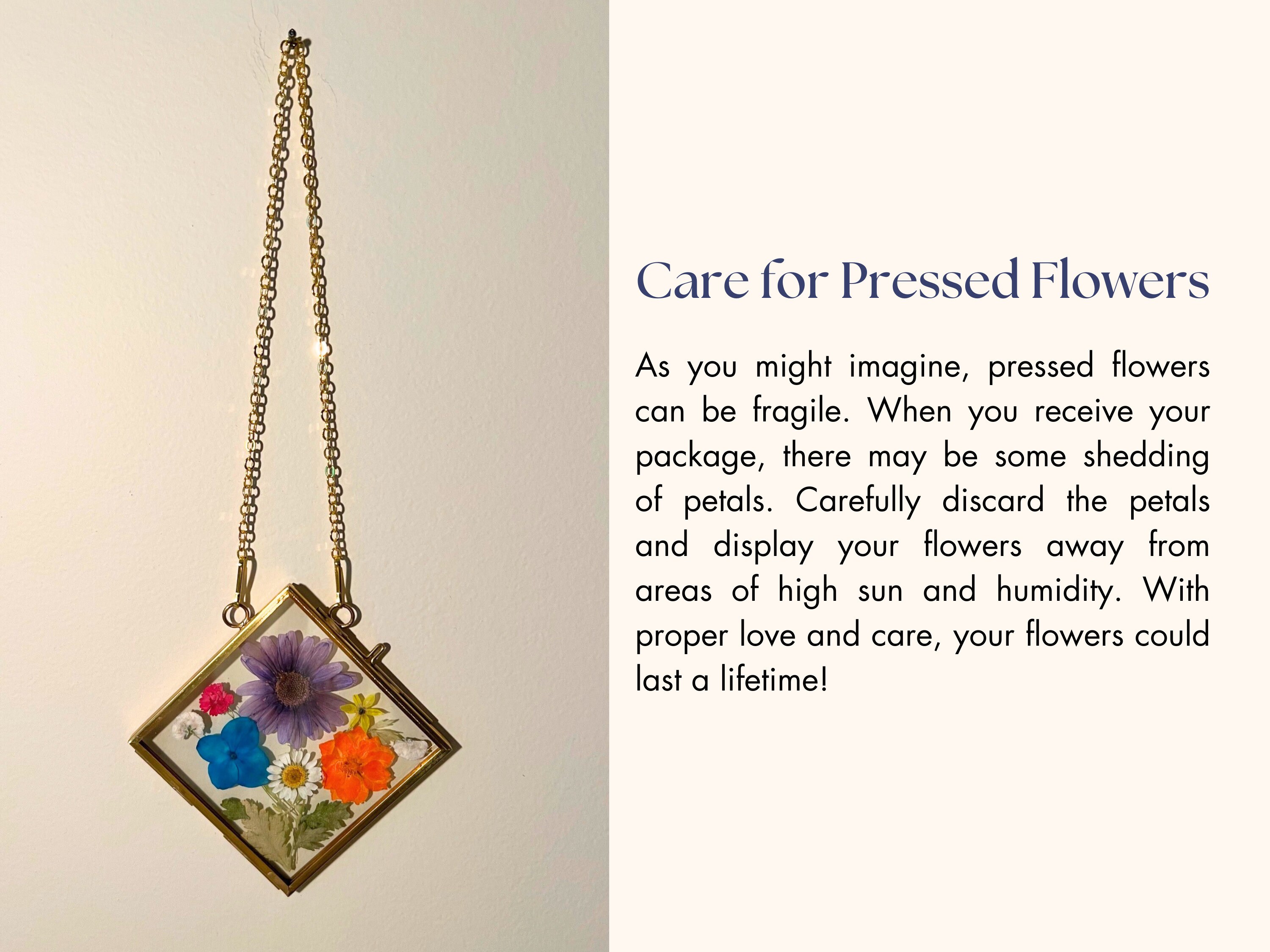 Handmade Pressed Flower 3x3 Suncatcher, Colorful Flowers, Herbarium ...