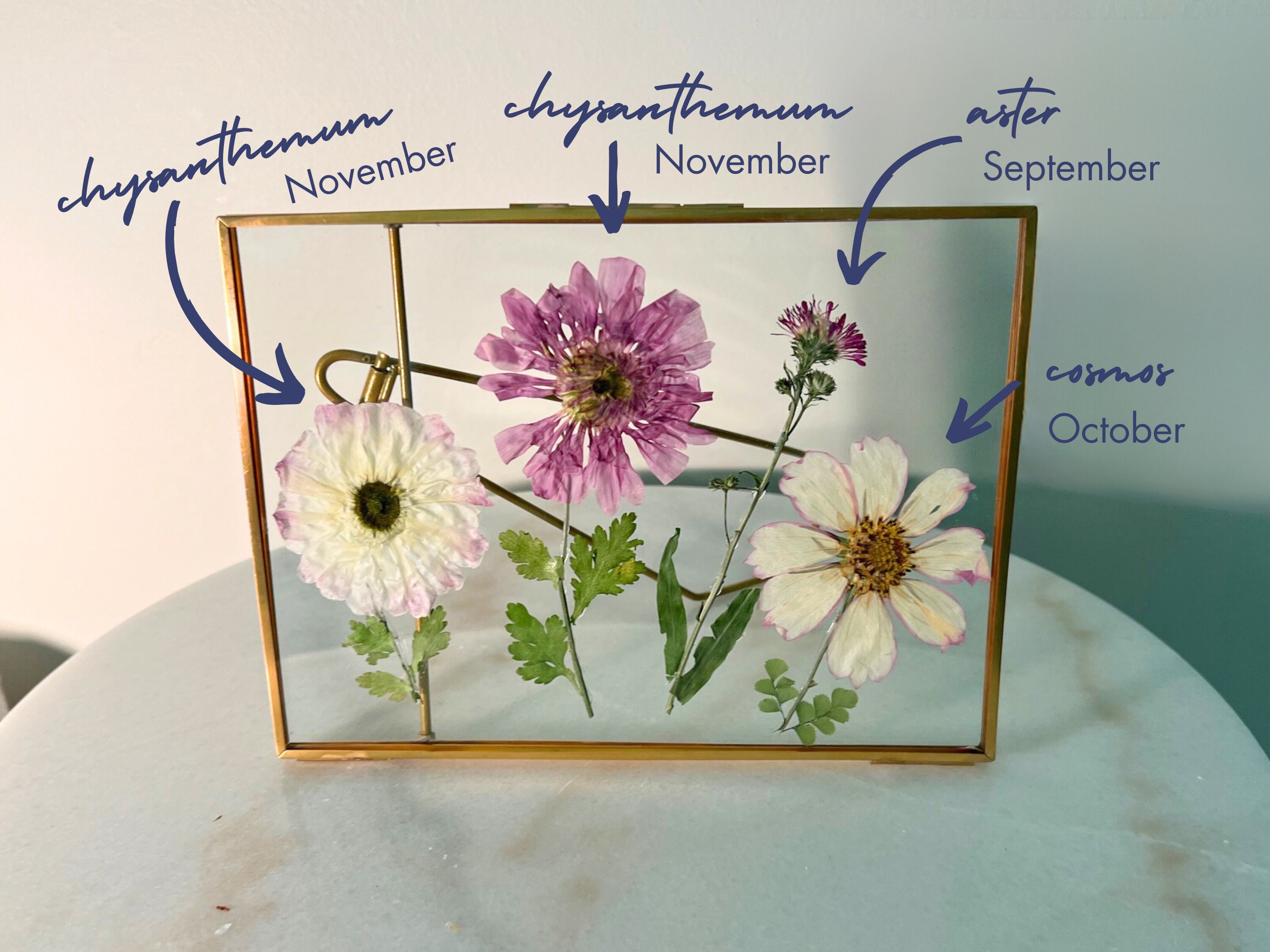 Custom Birth Flower Pressed Frame, Personalized Birth Flower Bouquet ...