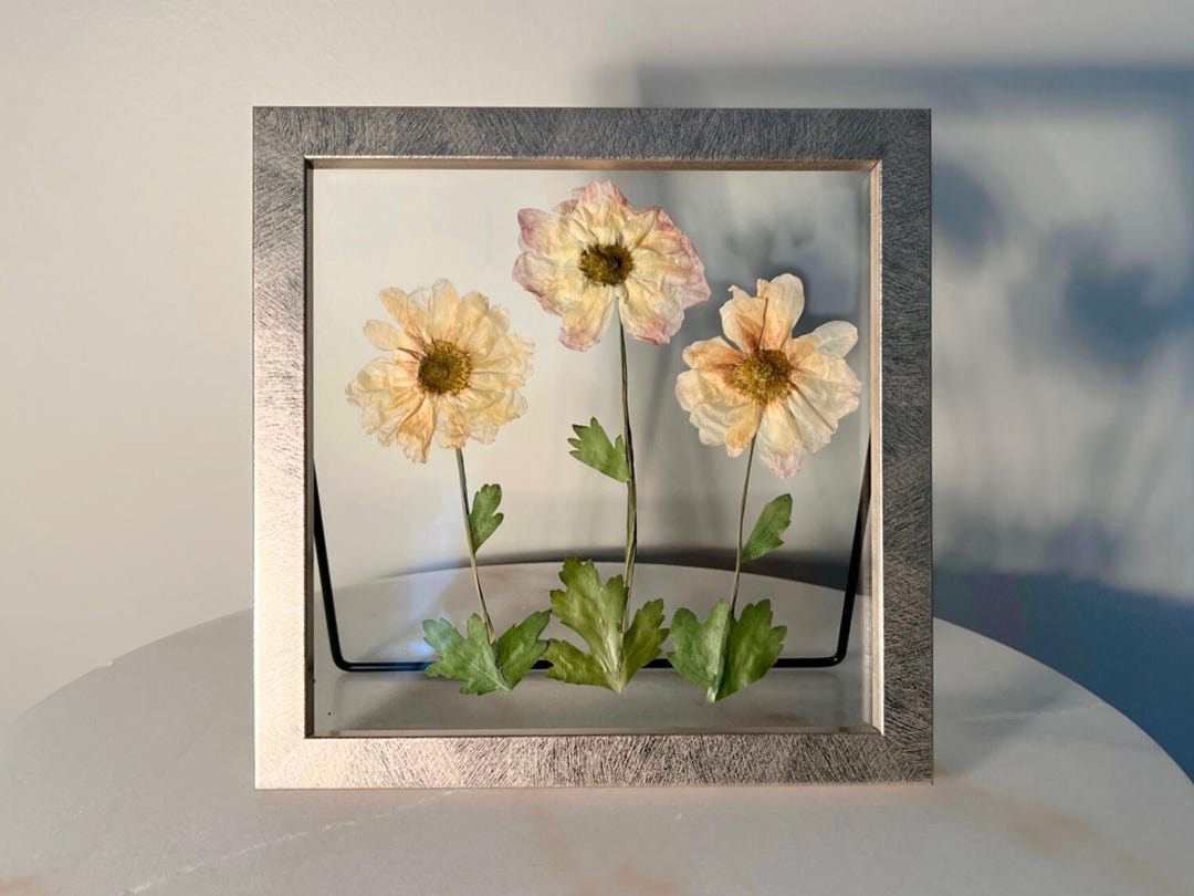 Handmade Pressed Flower 8x8 Tabletop Frame, Chrysanthemum, November ...