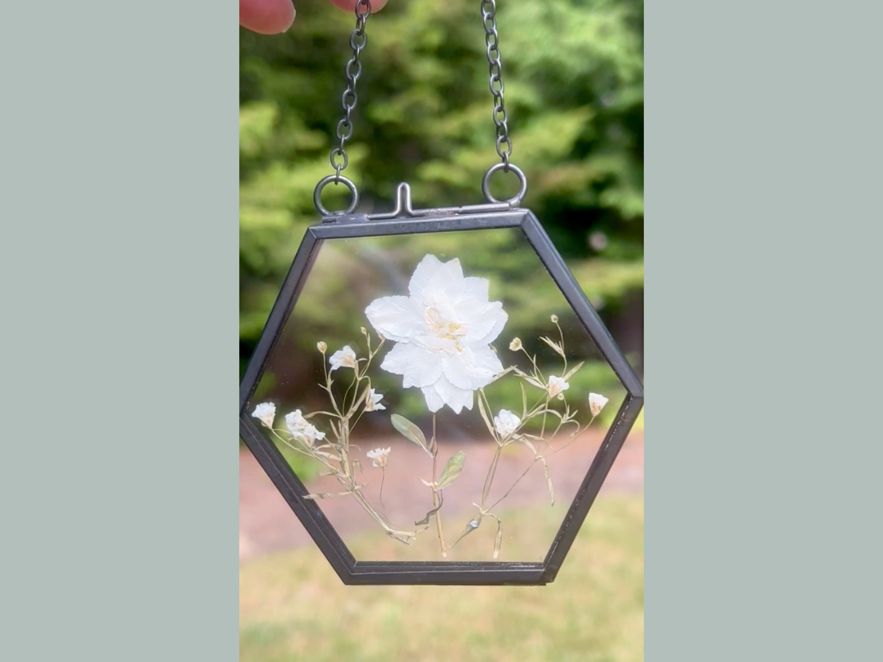 Handmade Pressed Flower 3x3 Suncatcher, White Flowers, Herbarium Frame ...
