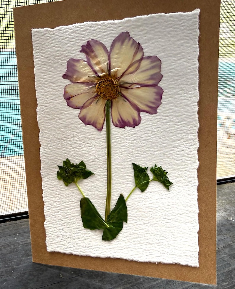 Handmade Pressed Flower Cards Using Real Flowers - Etsy