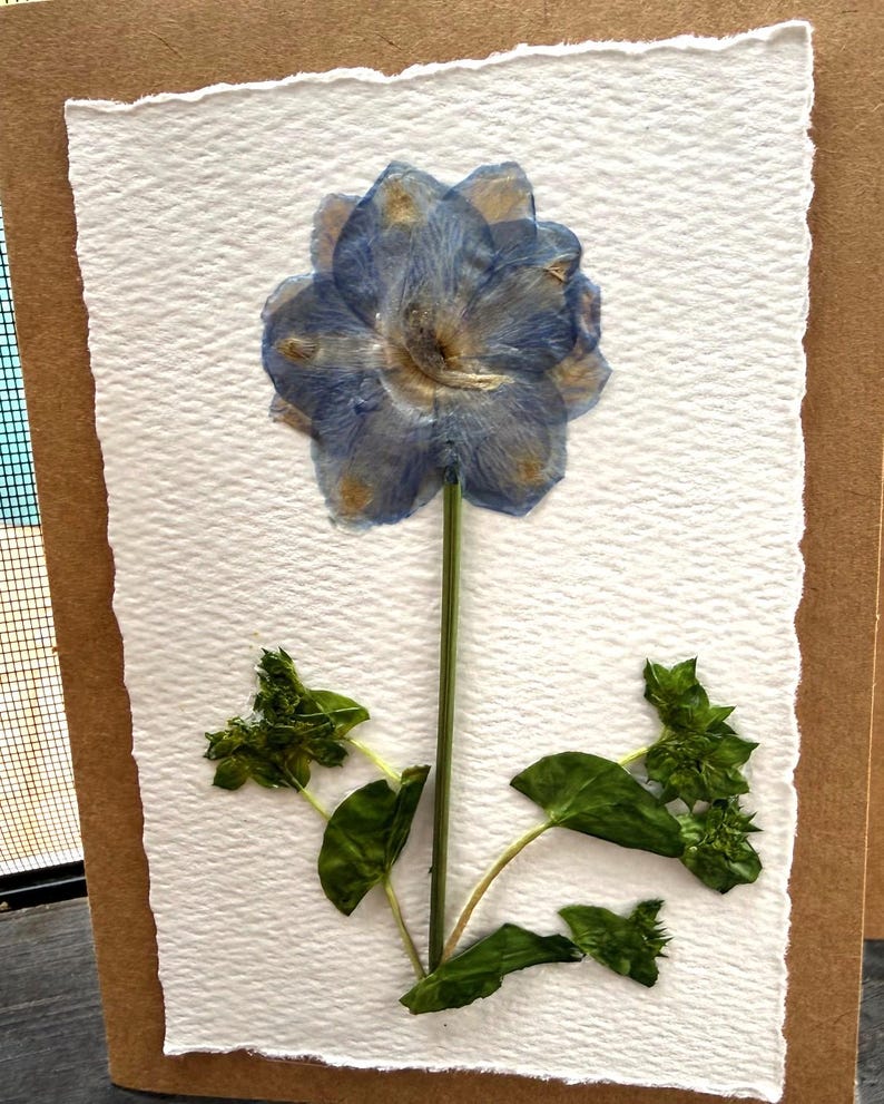 Handmade Pressed Flower Cards Using Real Flowers - Etsy