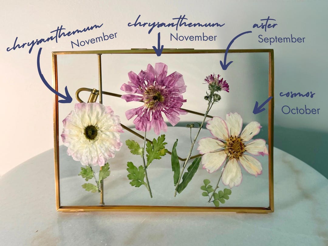 Pressed Birth Flower Frame, Personalized Birth Flowers, Birth Flower ...