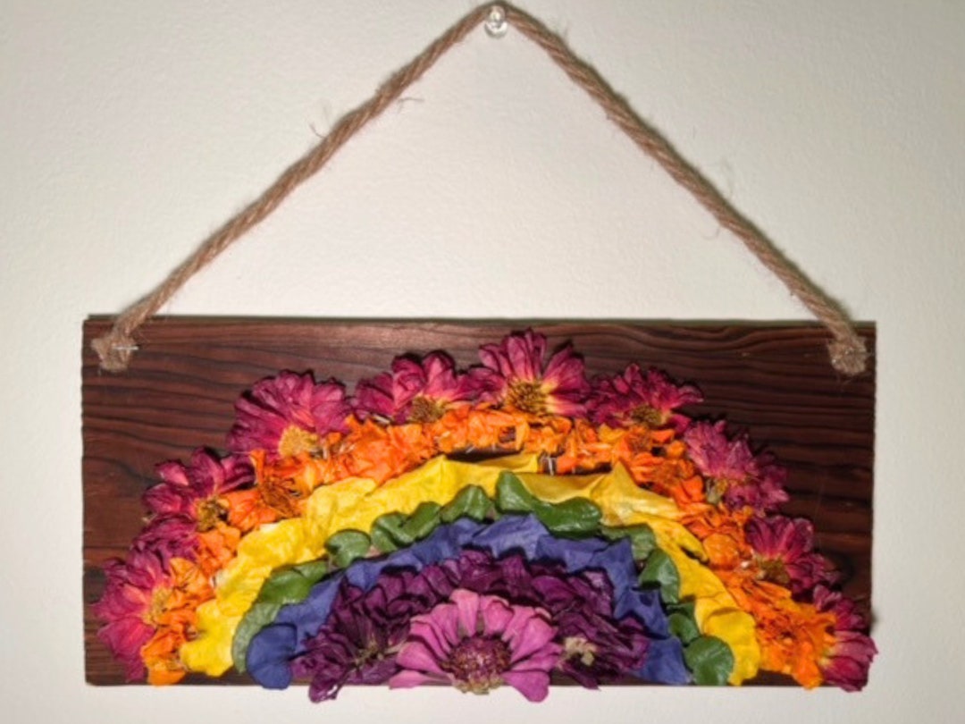 Handmade Pressed Flower 12x6 Hanging Wood Panel, Rainbow Flower Art ...