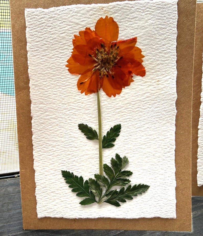 Handmade Pressed Flower Cards Using Real Flowers - Etsy