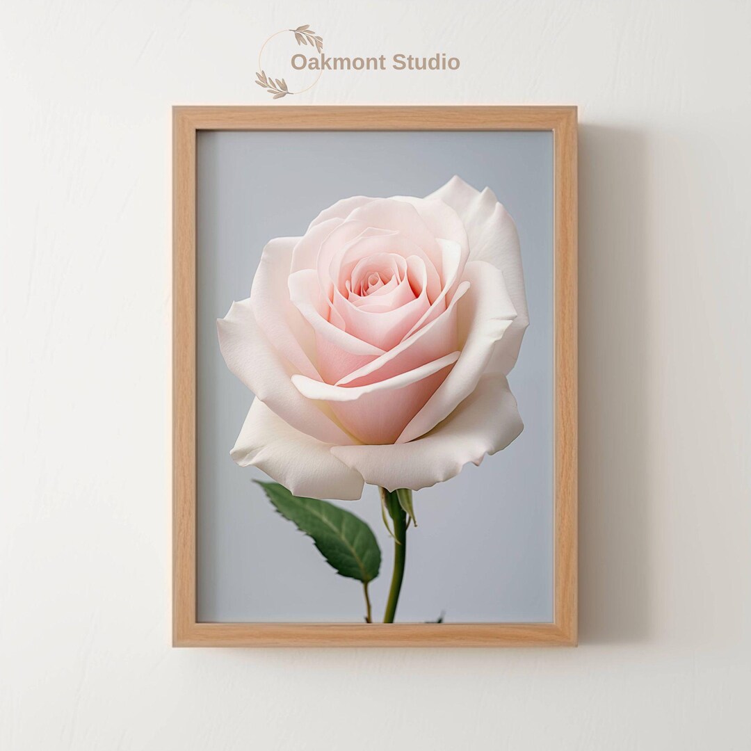 Single Pink Rose and Greenery Instant Download Digital Flower Art for ...