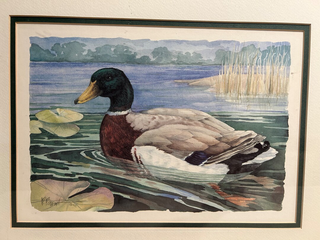 Classic Duck Painting “ Mallard Duck “ by Paul Brent - Etsy