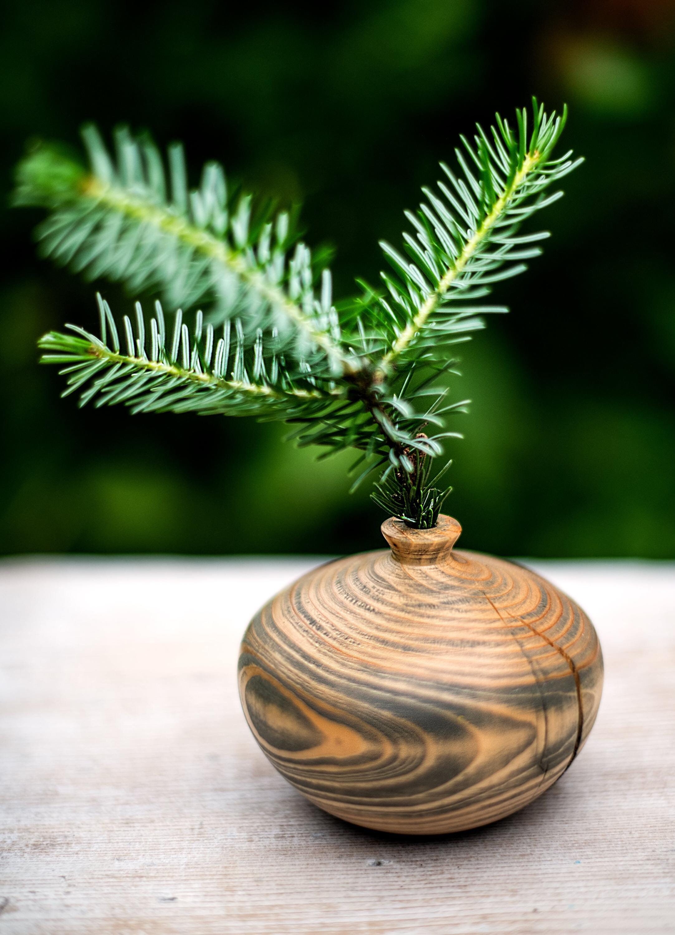 Wooden Dry Vase From Pine Tree Woodturning Art, Home Decor - Etsy