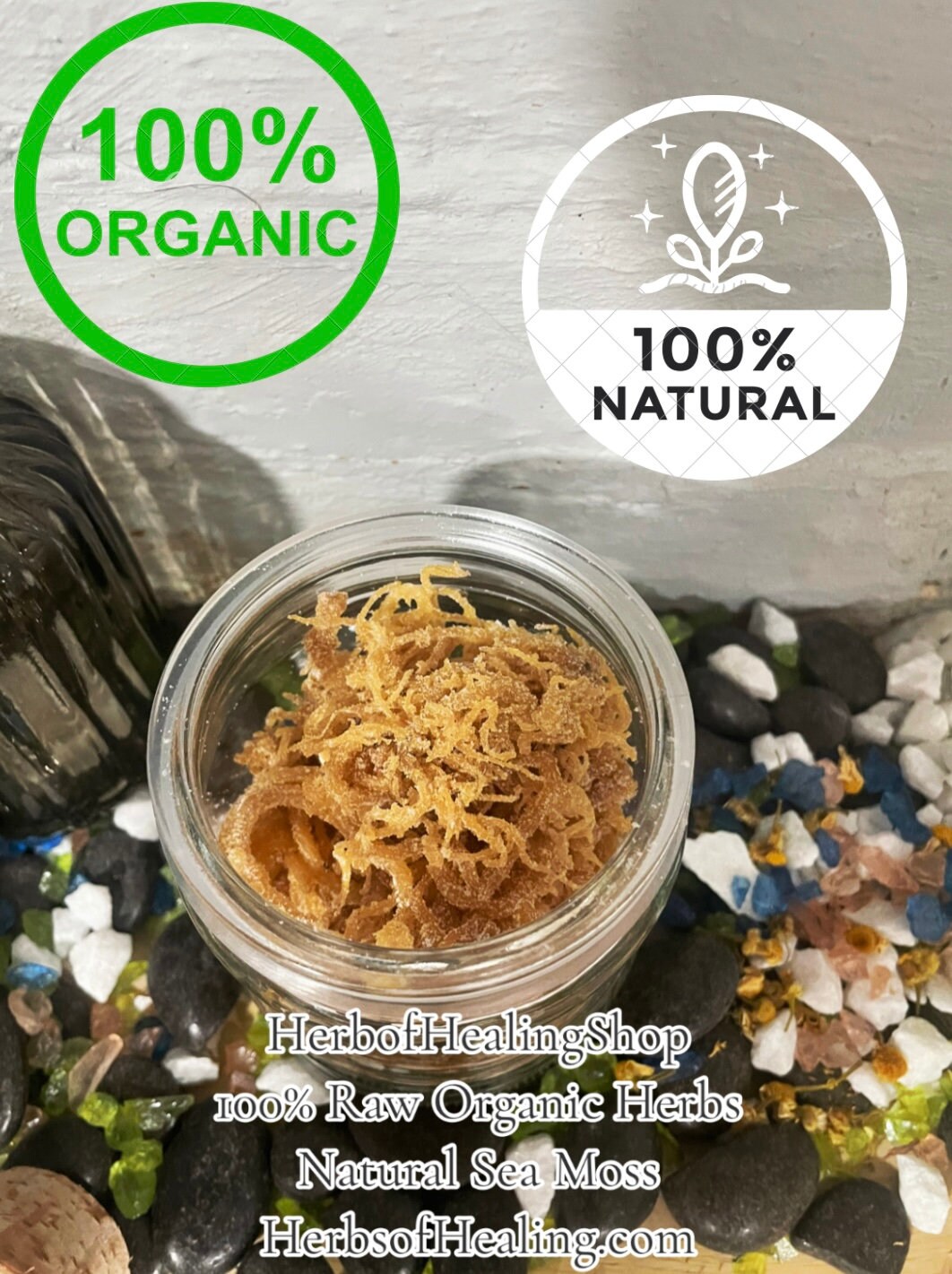Natural Sea Moss Root - Etsy