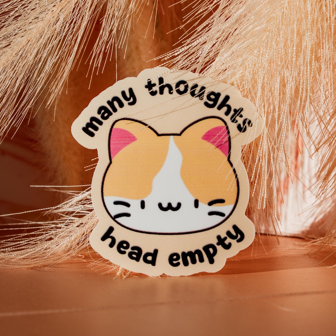 Many Thoughts Head Empty | Vinyl Sticker | Kawaii Sticker | Laptop ...