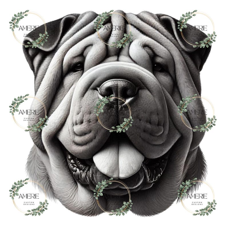 Sharpei (shar Pei) PNG Image Bundle - Realistic Fine Art Image Digital ...