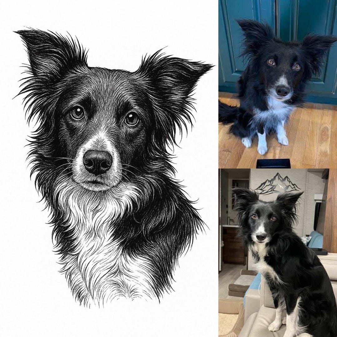 Custom Pet Drawing With Optional Laser Engraved Cork Coaster - Etsy