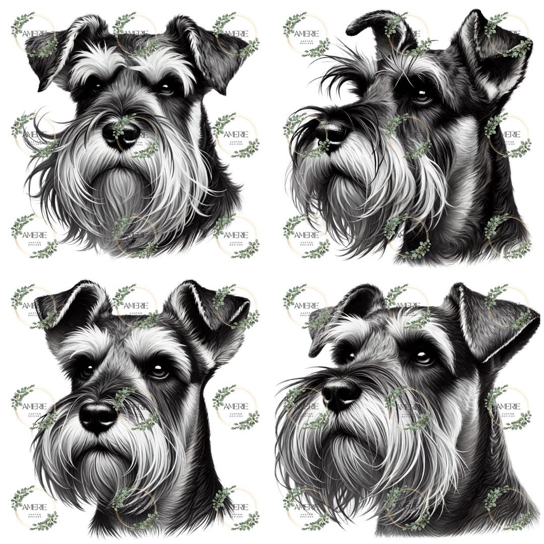 Schnauzer PNG Image Bundle - Realistic Fine Art Image Digital Download ...