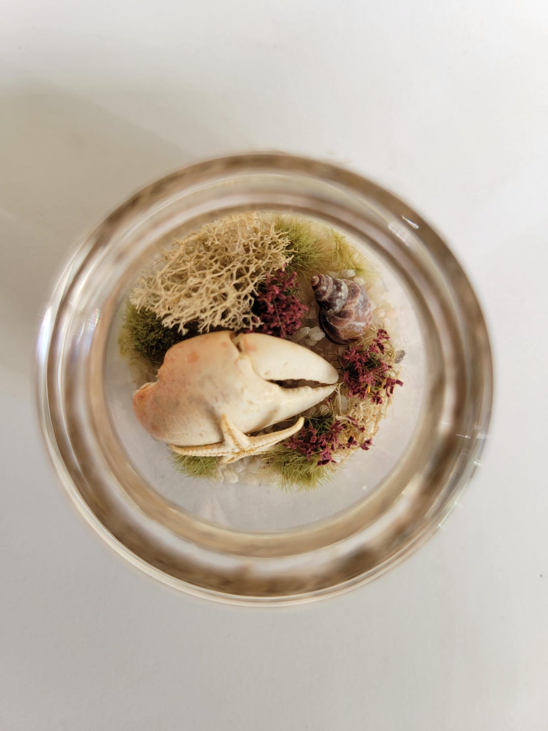 Mini Beach Scene Jars - Etsy