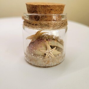 Mini Beach Scene Jars - Etsy