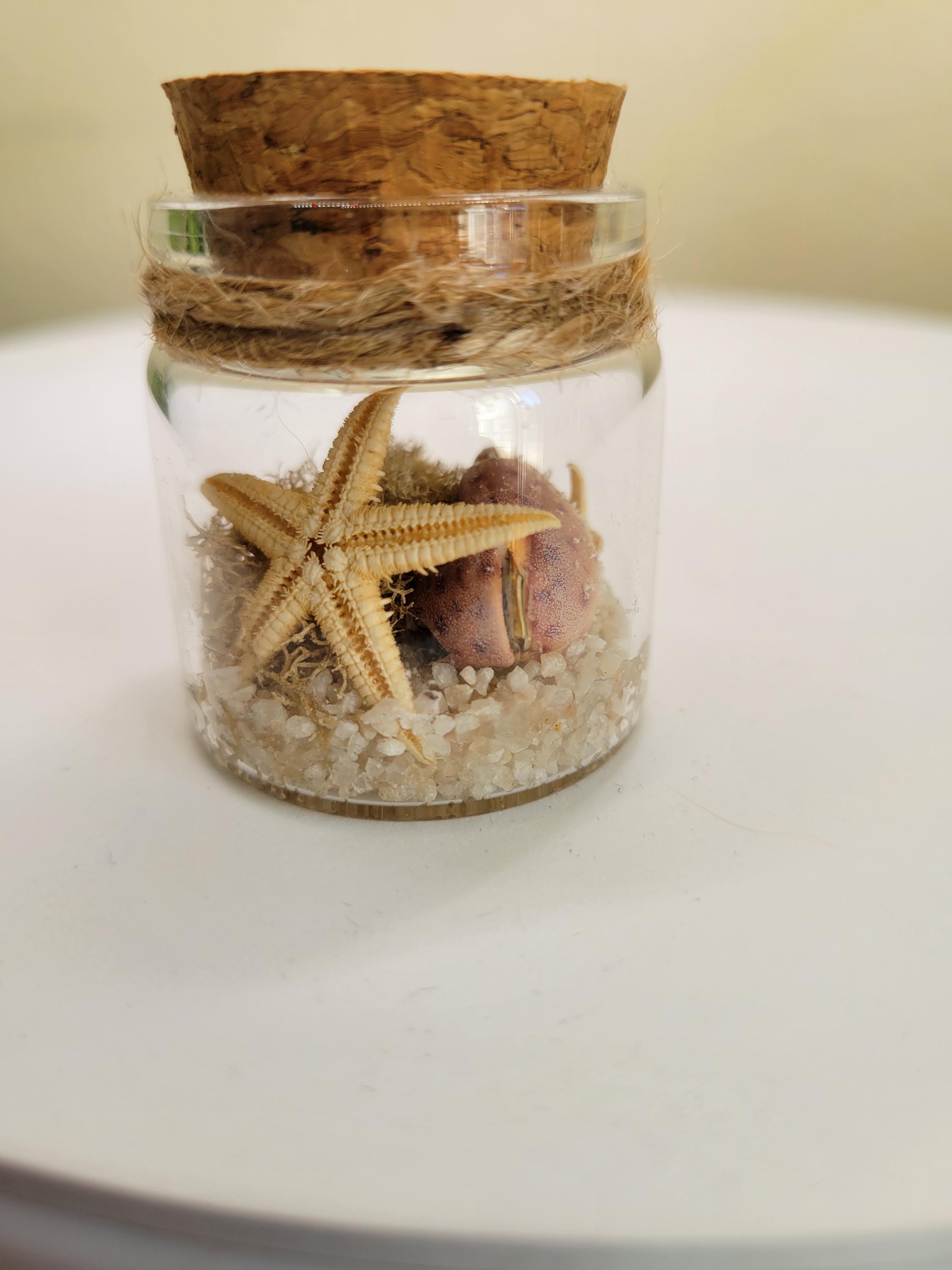 Mini Beach Scene Jars - Etsy