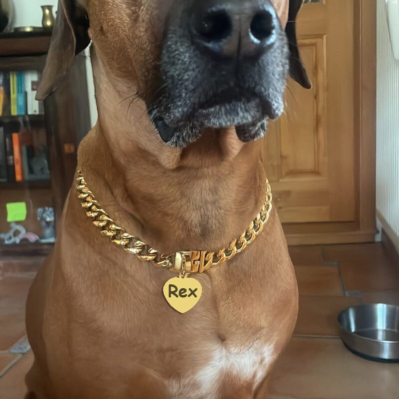 Dog Chain Collar - Etsy
