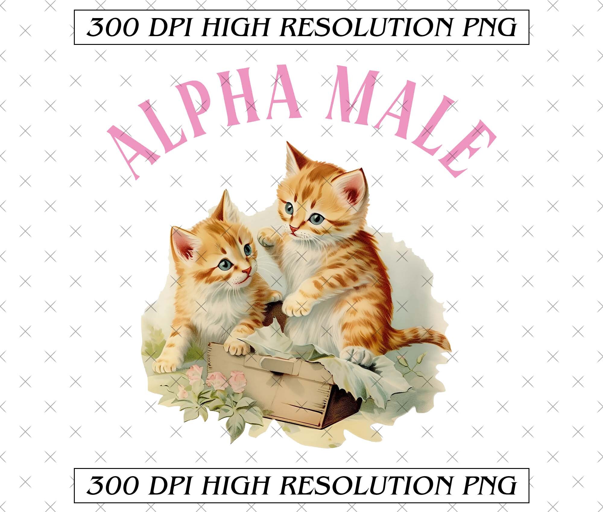 Alpha Male Cats Clipart Bundle, Cute Cat PNG, Kitten Graphics, Happy ...