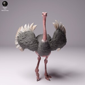 Ostrich | Animal Den Miniatures | 3d Printed Model Roleplay Rpg Npc ...