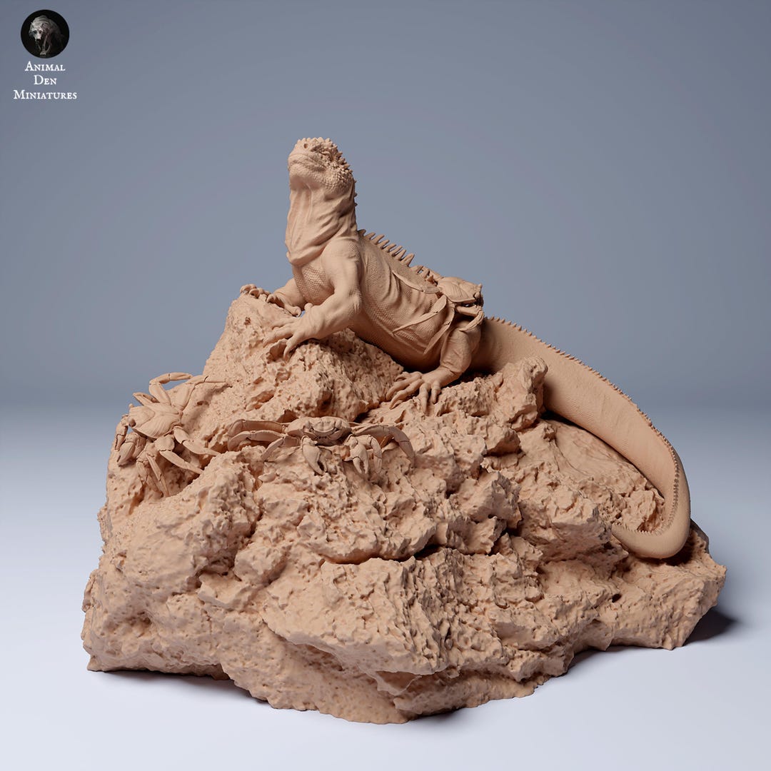 Marine Iguana | Animal Den Miniatures: Galapagos Animals Display Island ...