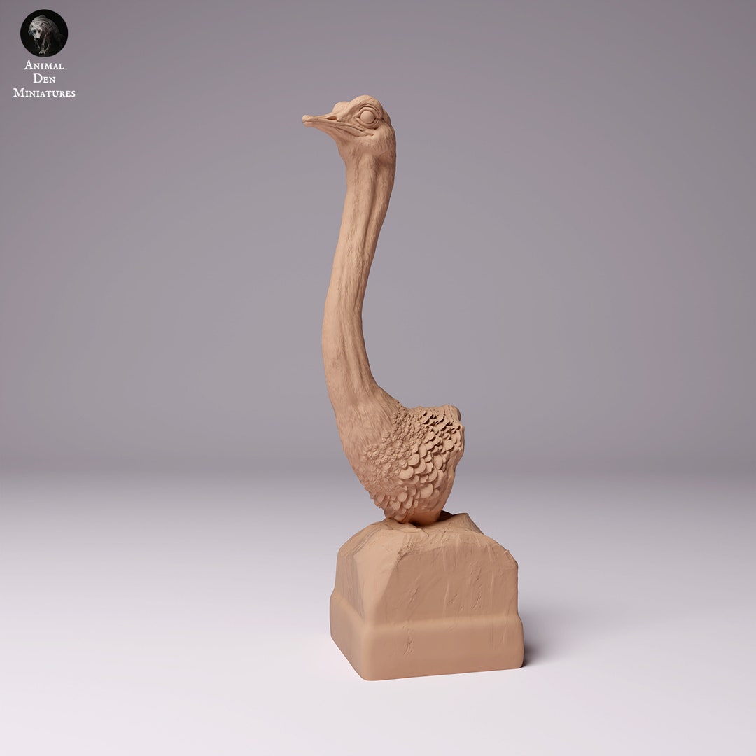 Ostrich - Bust – Animal Den Miniatures: 3d Printed Model Roleplay Rpg ...