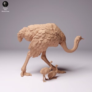 Ostrich | Animal Den Miniatures | 3d Printed Model Roleplay Rpg Npc ...